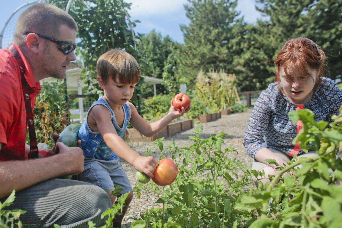 Orem hospital using community garden to help kids in occupational ...